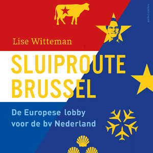 Sluiproute Brussel - Lise Witteman - (ISBN: 9789026358333) | De Slegte