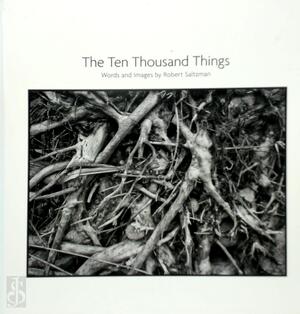 The Ten Thousand Things - Robert Saltzman - (ISBN: 9781908664594) | De ...
