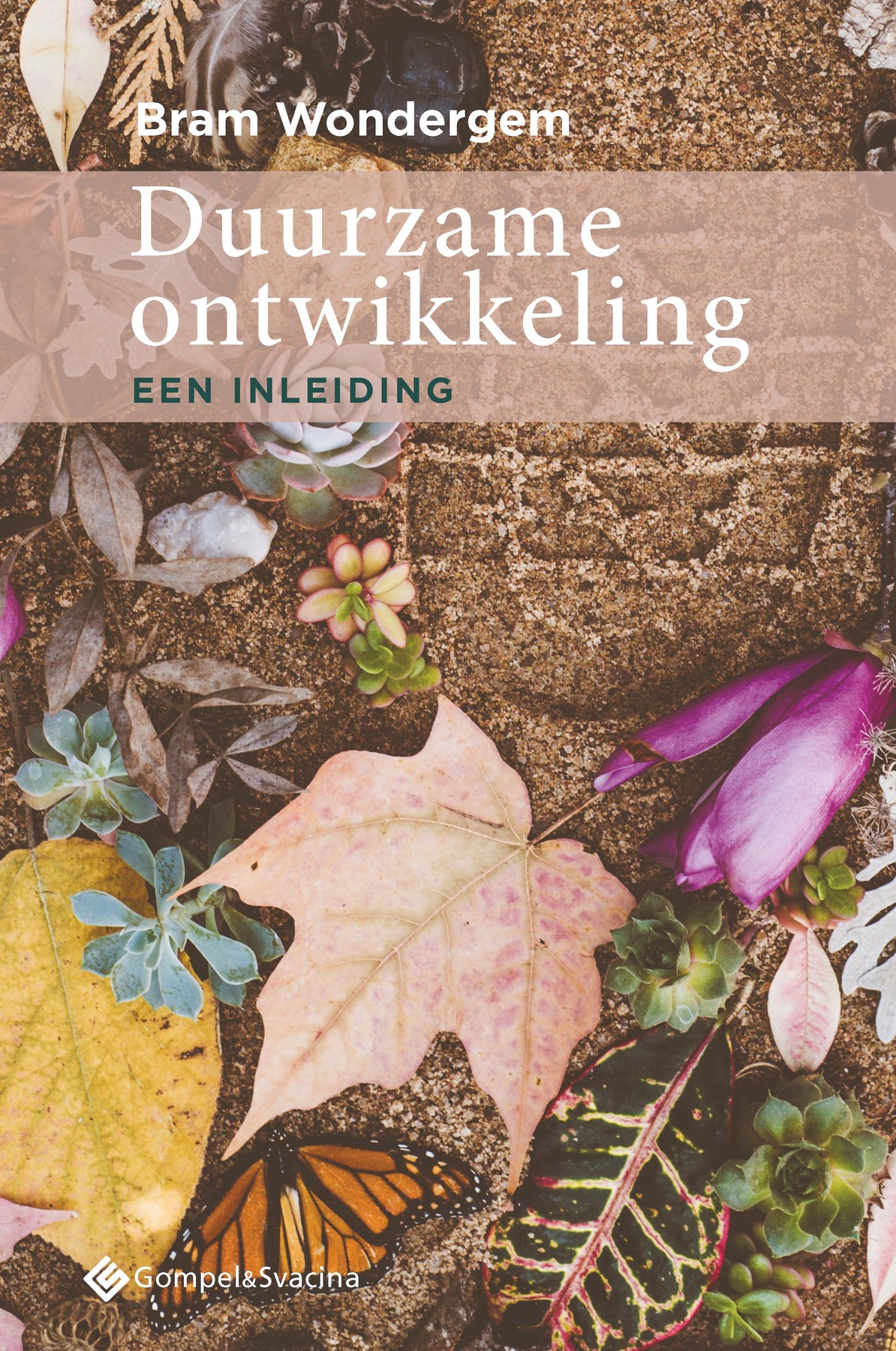 Duurzame ontwikkeling - Bram Wondergem - (ISBN: 9789463712651) | De Slegte