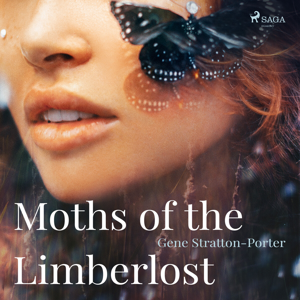 Moths of the Limberlost - Gene Stratton-Porter - (ISBN: 9788726472622) | De Slegte