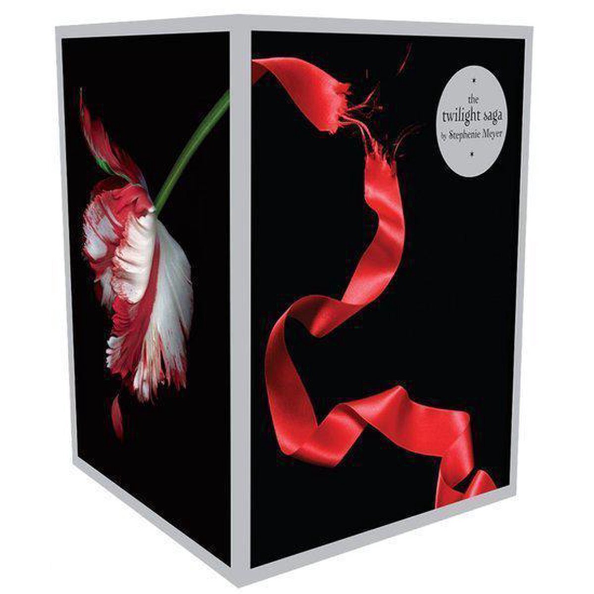 Twilight Saga (boxed Set) - Stephenie Meyer - (ISBN: 9781907410253 ...