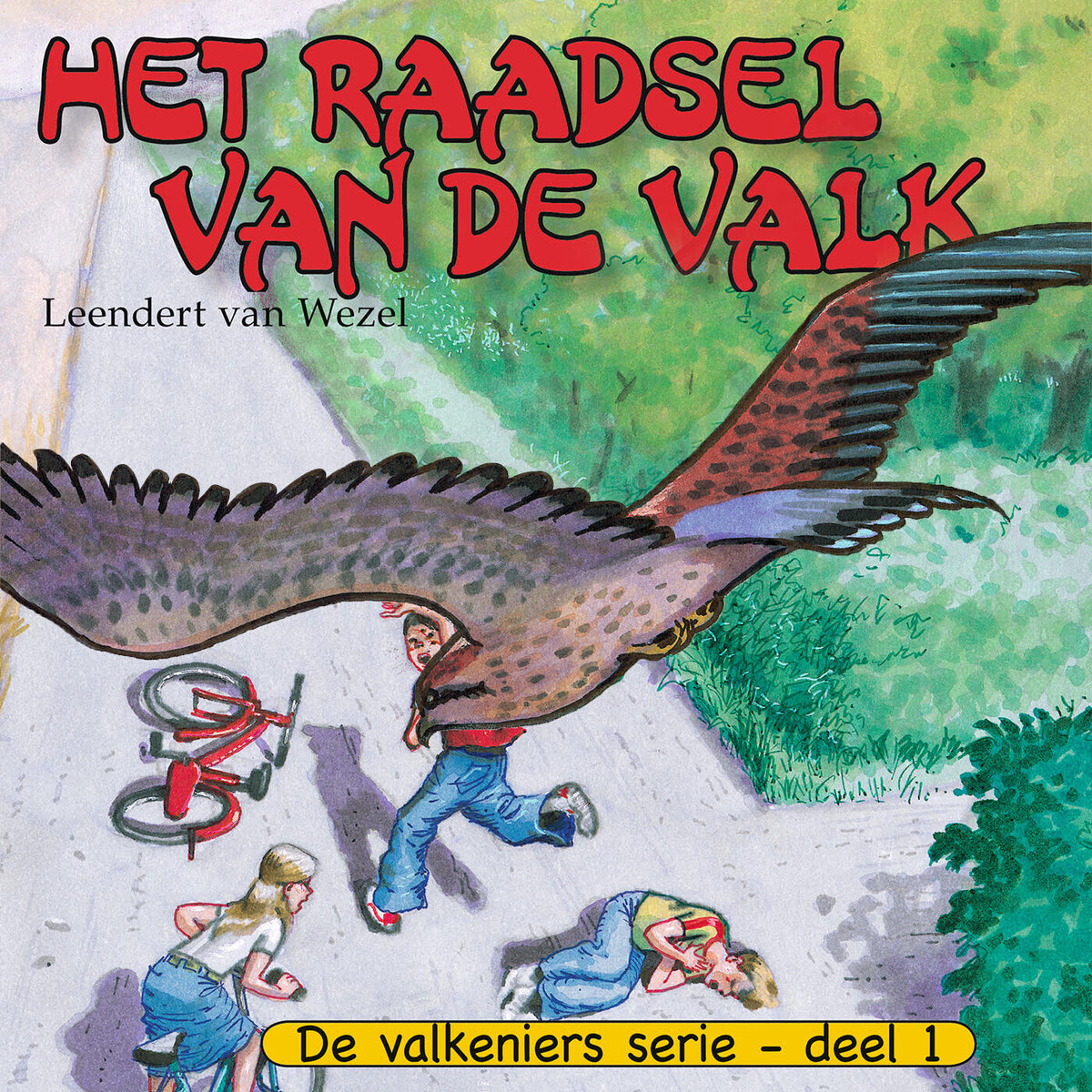 Het raadsel van de valk - Leendert van Wezel - (ISBN: 9789402911251 ...
