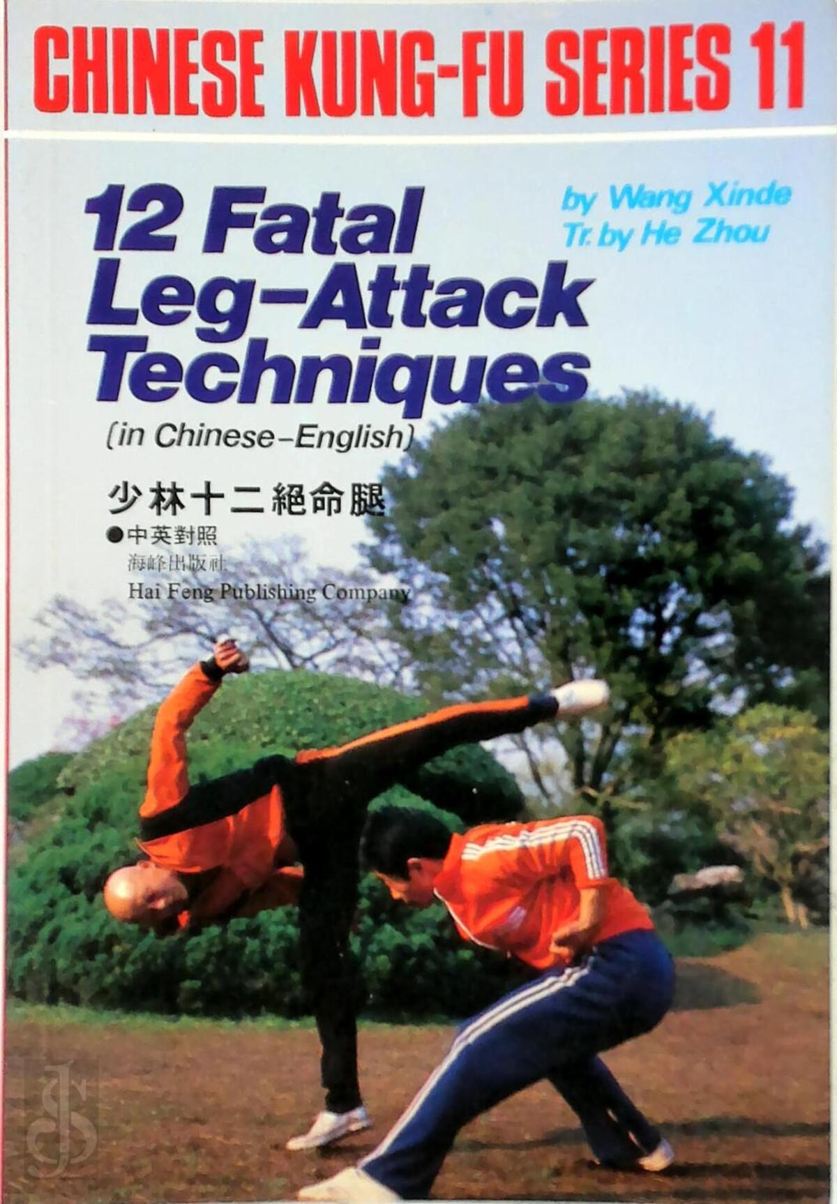12 Fatal Leg-Attack Techniques - Chinese Kung-fu Series 11 - Wang Xinde ...