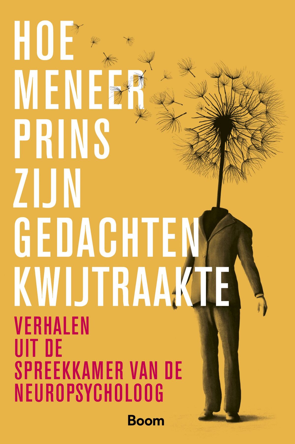 Hoe meneer Prins zijn gedachten kwijtraakte [e-Book] - Helen Anema, Kim ...