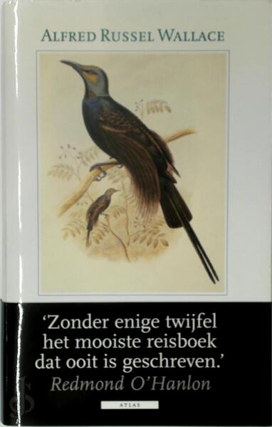 Het Maleise eilandenrijk - Alfred Russel Wallace, Ruud Rook - (ISBN ...