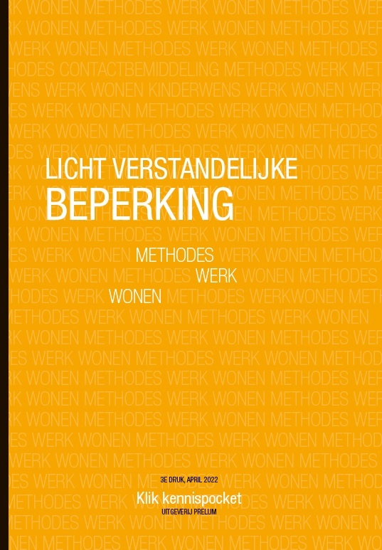 Licht verstandelijke beperking - Tjitske Gijzen - (ISBN: 9789492711984) | De Slegte