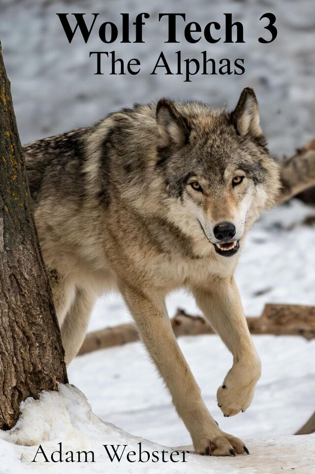 A Kingdom of Salt and Stone - LIV Webster - (ISBN: 9798999888921) | De ...