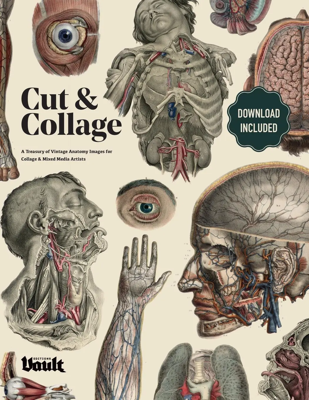 Cut and Collage A Treasury of Vintage Anatomy Images for Collage and ...