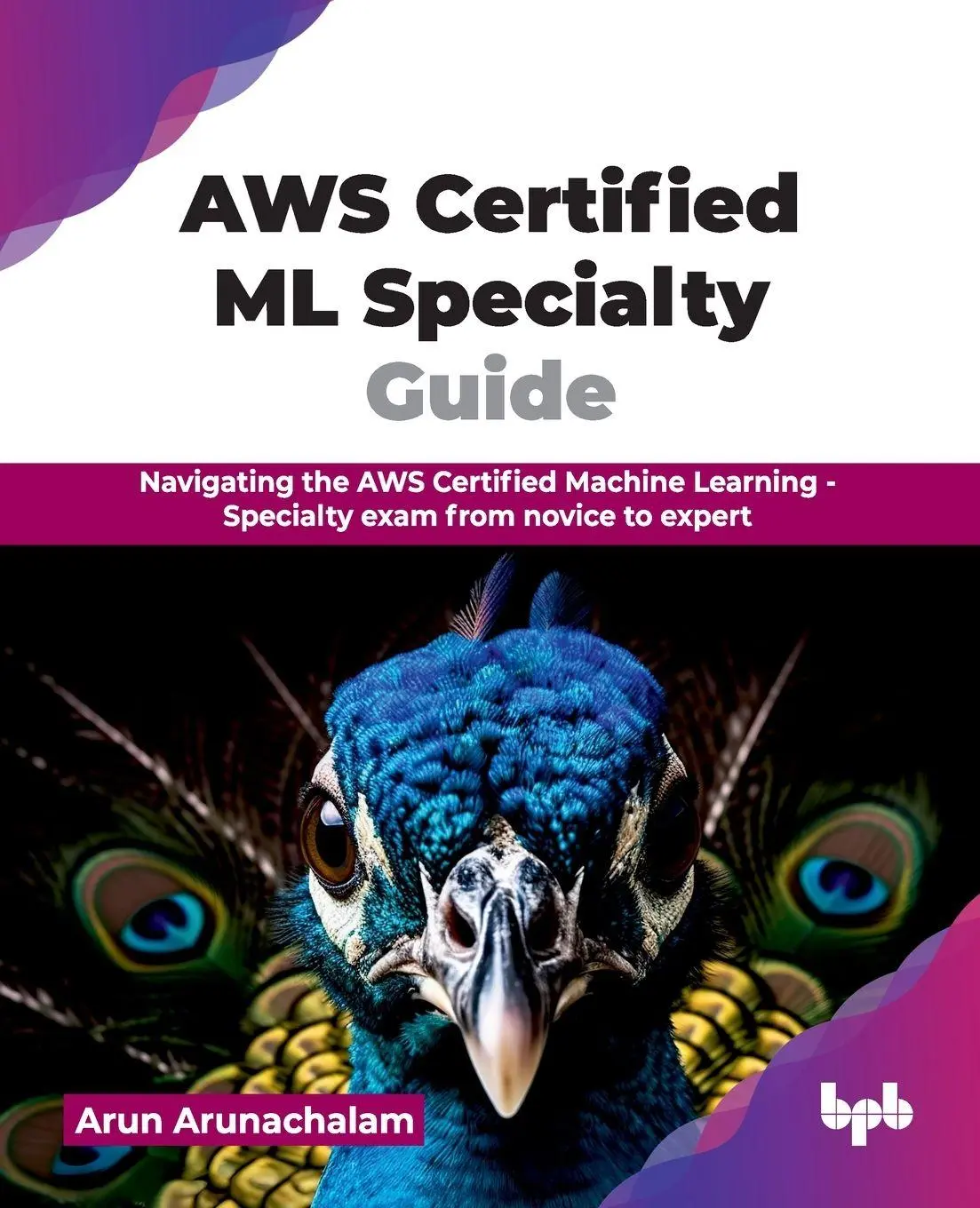 AWS Certified ML Specialty Guide - Arun Arunachalam - (ISBN ...