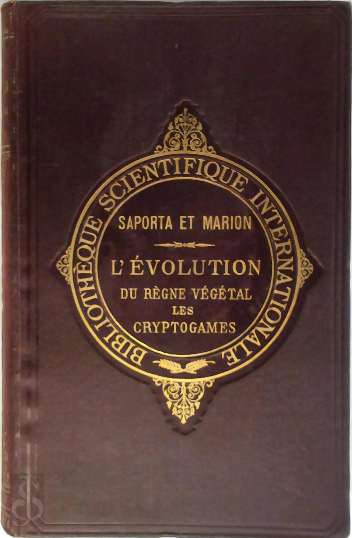 L'évolution du règne végétal : les Cryptogames - G. De Saporta, A.-F ...