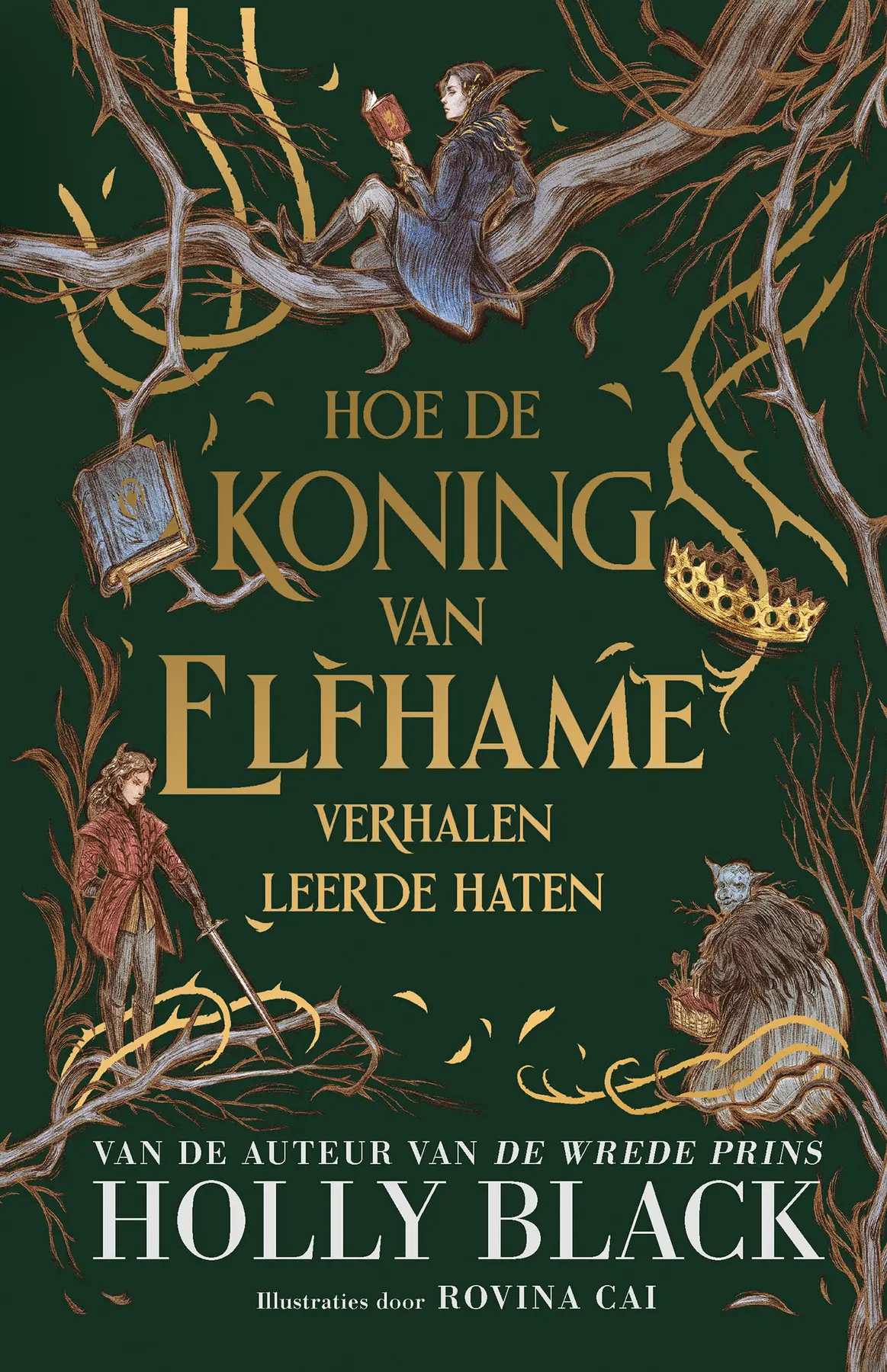Hoe de koning van Elfhame verhalen leerde haten [e-Book] - Holly Black ...