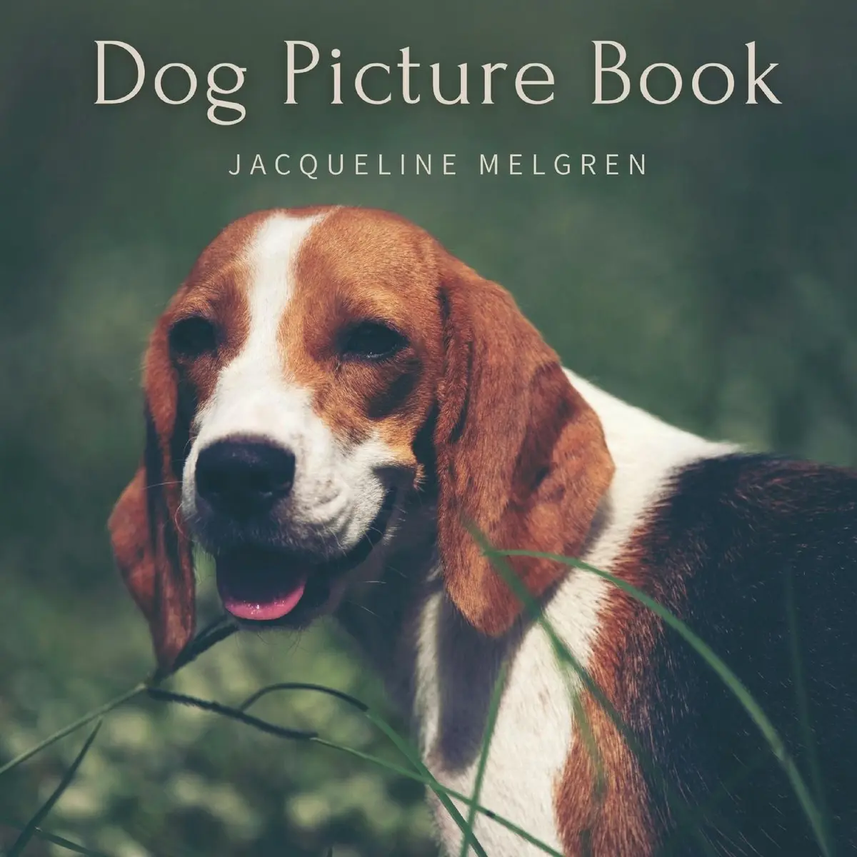 Dog Picture Book - Jacqueline Melgren - (ISBN: 9789189452626) | De Slegte