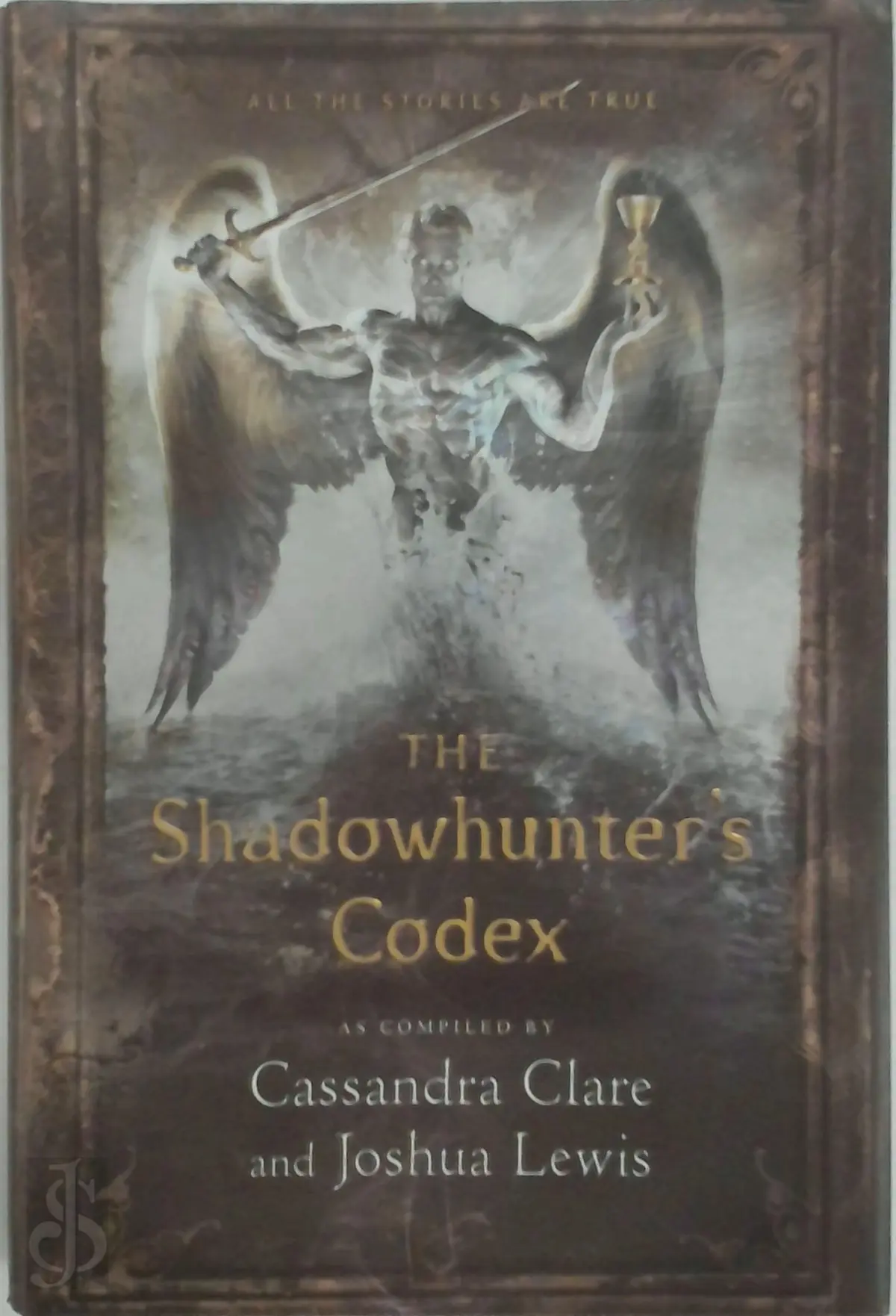 shadowhunter’s codex