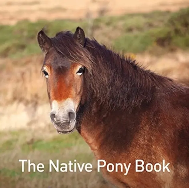 The Native Pony Book - Jane Russ - (ISBN: 9781913134822) | De Slegte